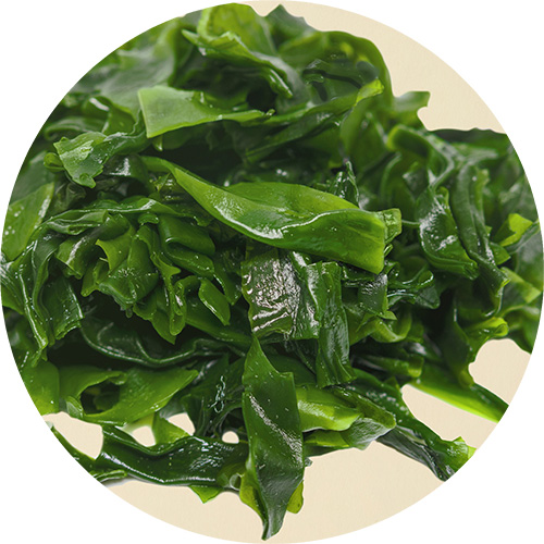 DOG'S LOVE | Was unser Futter besonders macht