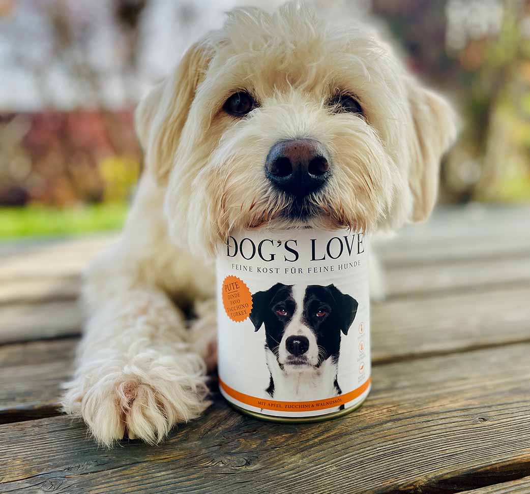 Dog Food | DOG'S LOVE | Wet & Dry Food