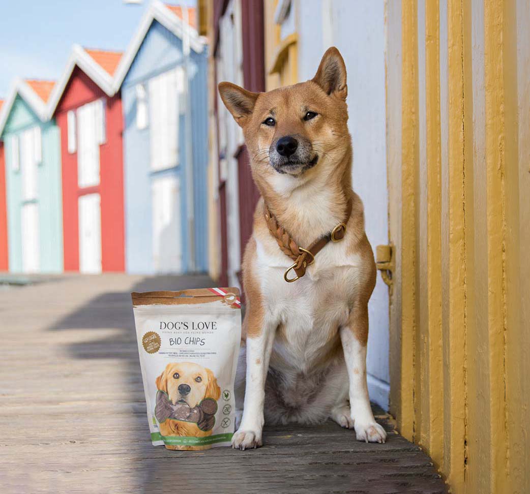 Dog Food | DOG'S LOVE | Wet & Dry Food