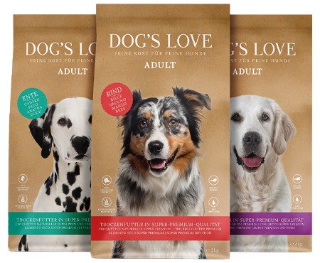 DOG'S LOVE Premium dog food multipack | Buy Now